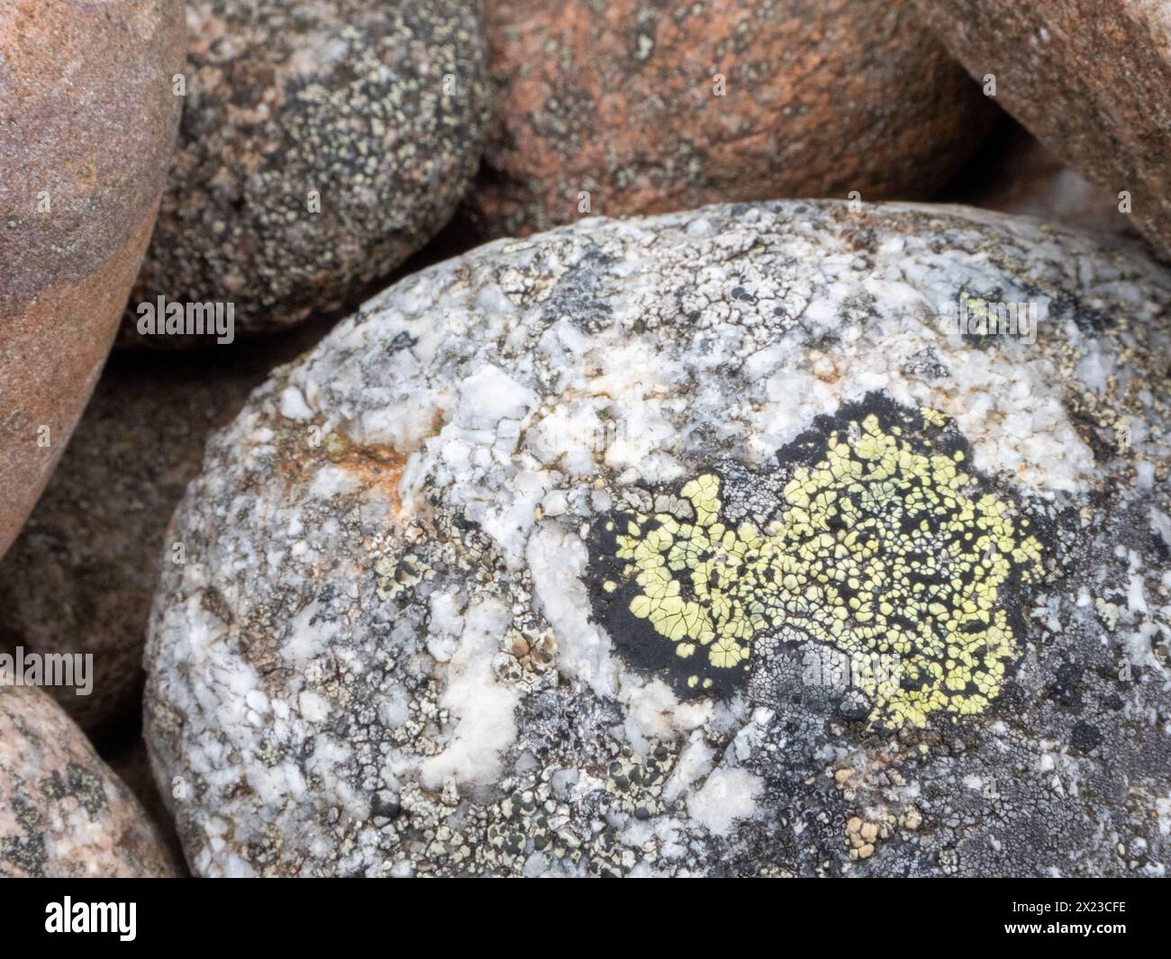 The barren and beautiful island of Jurmo, Finland Stock Photo - Alamy