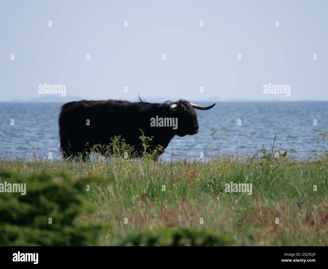 The barren and beautiful island of Jurmo, Finland Stock Photo - Alamy