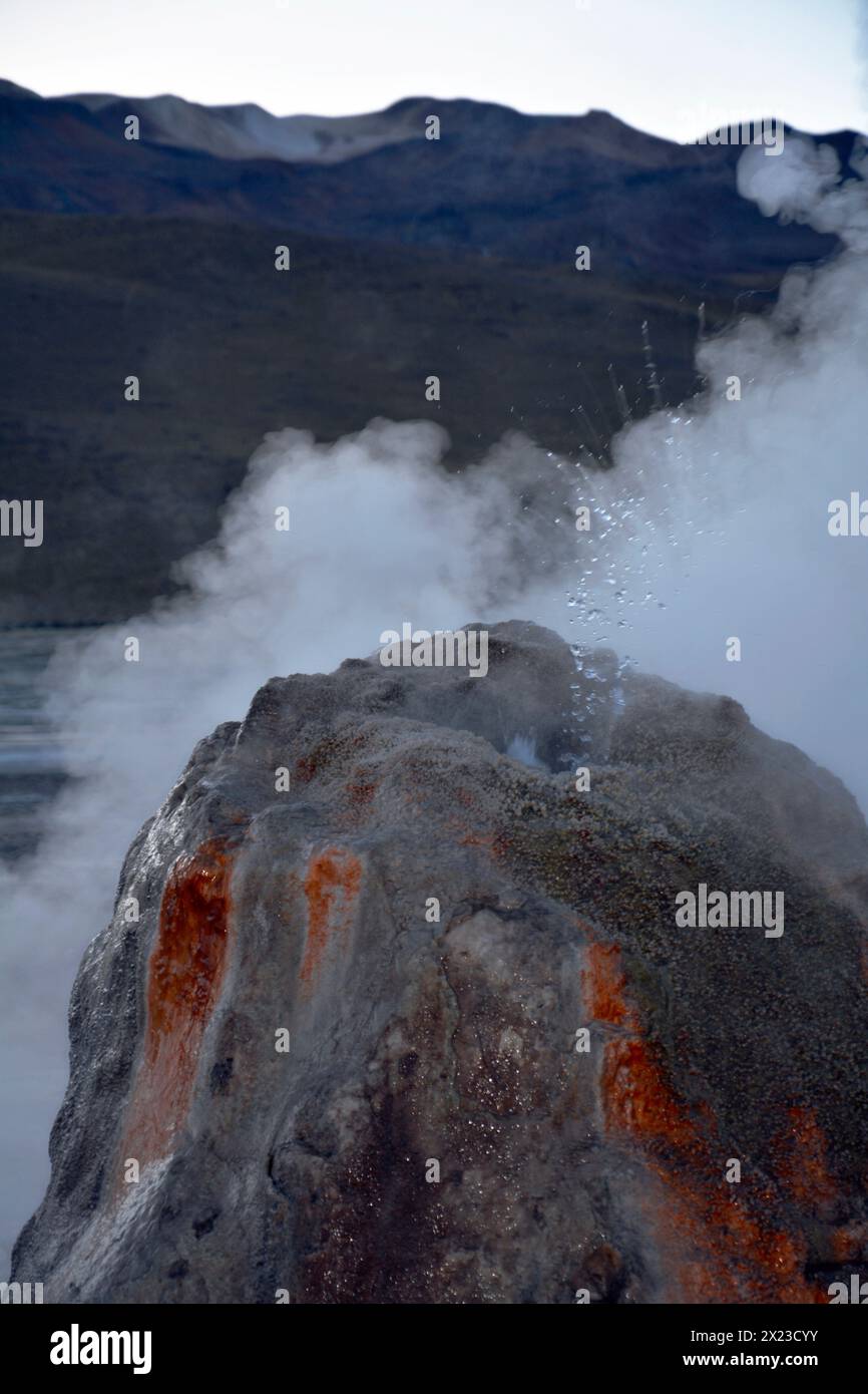 Chile; Northern Chile; Antofagasta Region; Atacama Desert; El Tatio ...
