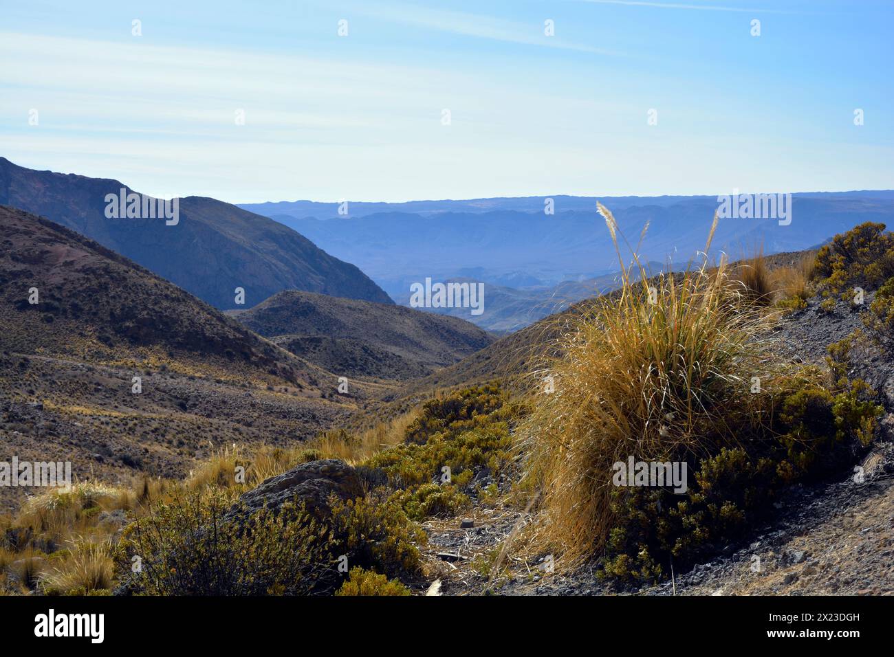 Chile; northern Chile; Arica y Parinacota Region; near Putre; Mountain ...