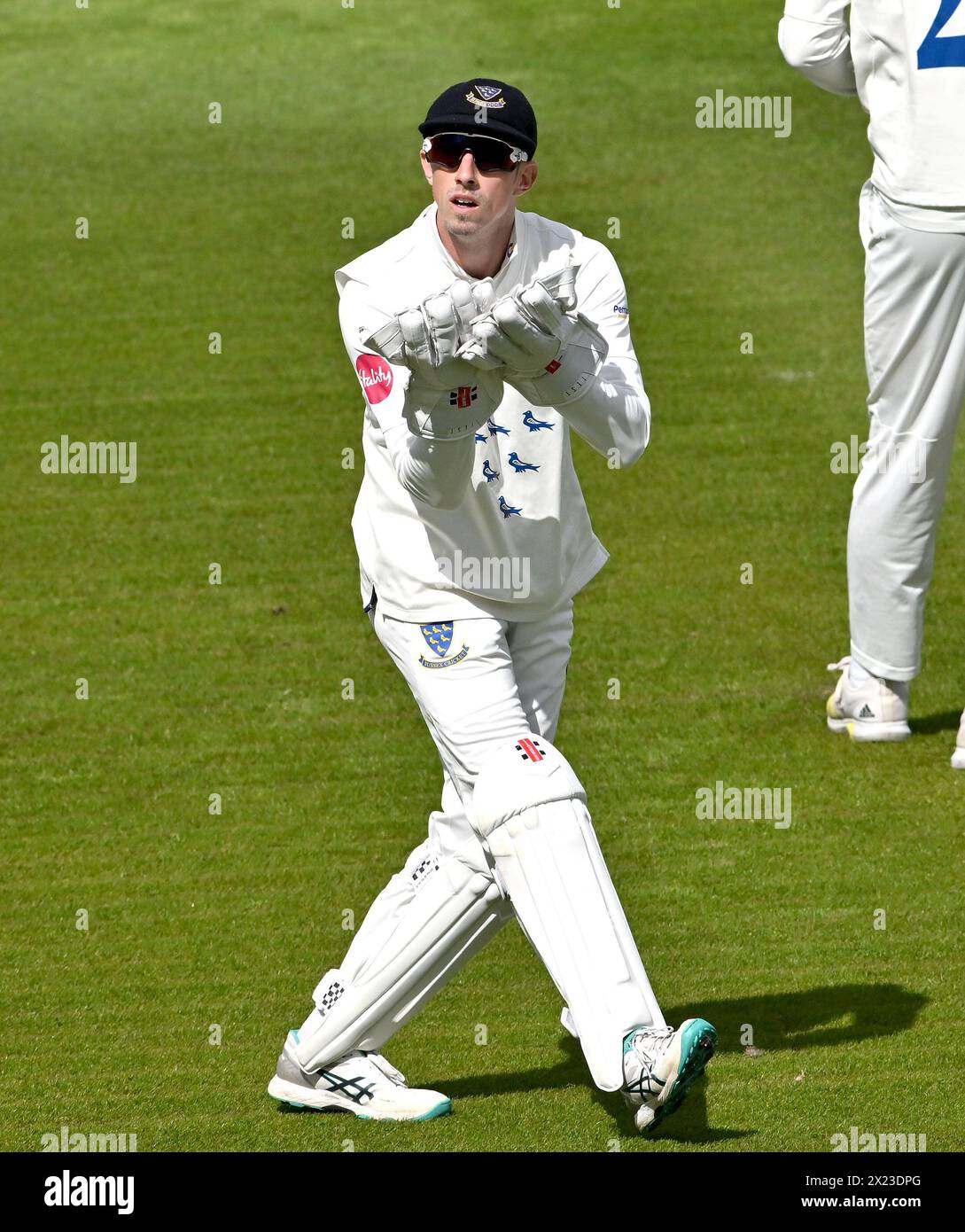 John simpson of sussex hi-res stock photography and images - Alamy