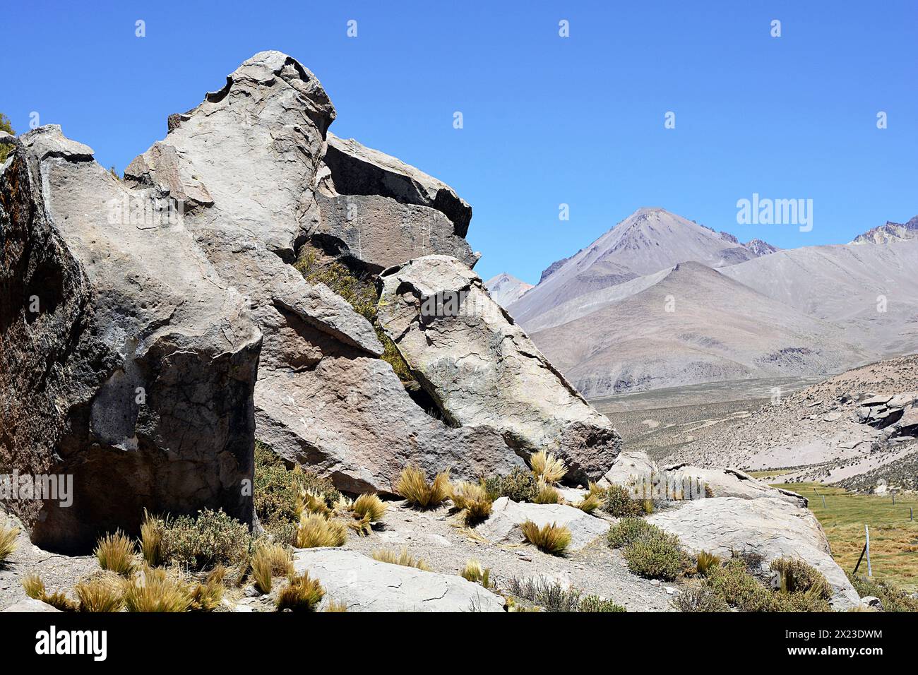 Chile; northern Chile; Arica y Parinacota Region; Lauca National Park ...