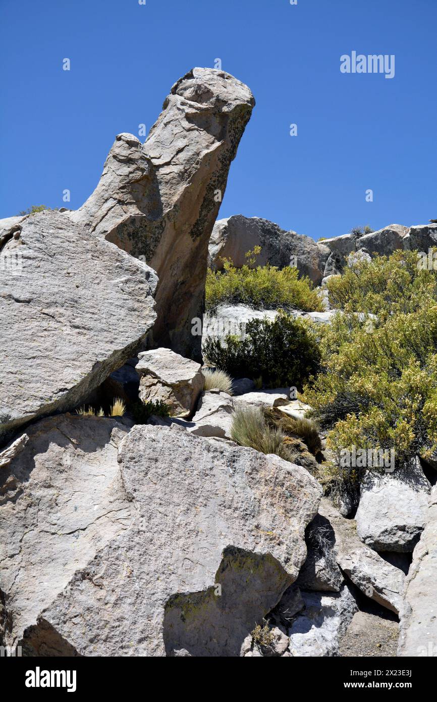 Chile; northern Chile; Arica y Parinacota Region; Lauca National Park ...