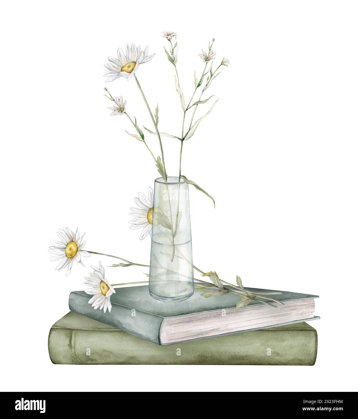 Botanical drawing of stack of books hi-res stock photography and images ...