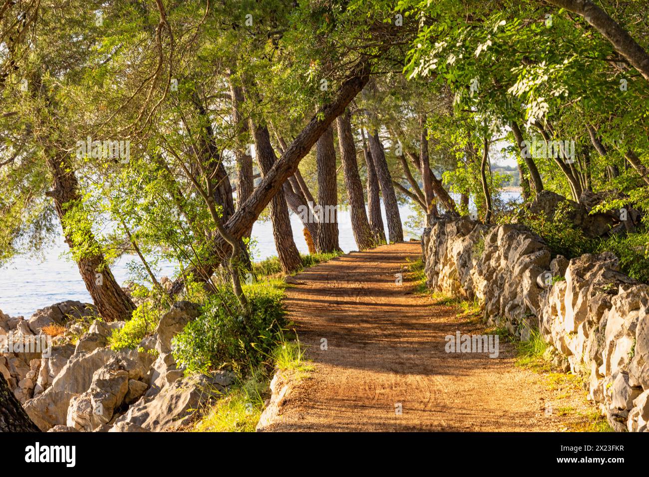In the evening on the Paradise Trail near Malinska, Njivice, Krk ...