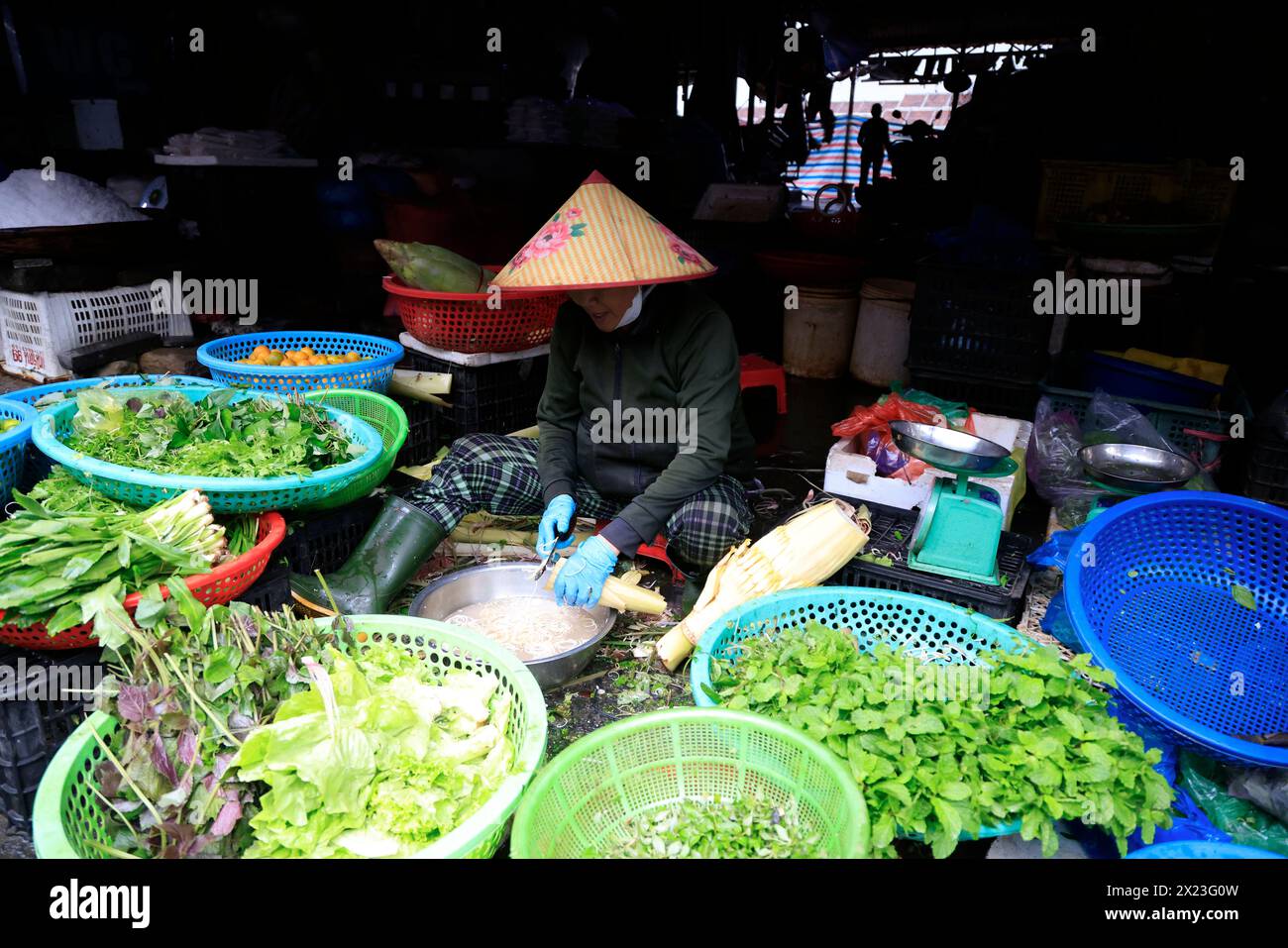 The lively market in Hoi An, Vietnam Stock Photo - Alamy