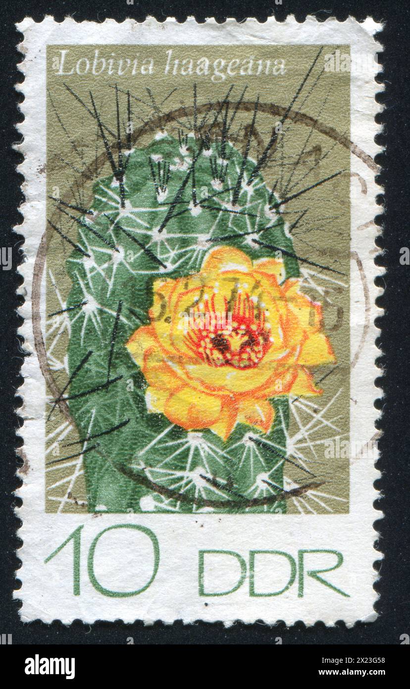 GERMANY - CIRCA 1974: stamp printed by Germany, shows Lobivia haageana ...
