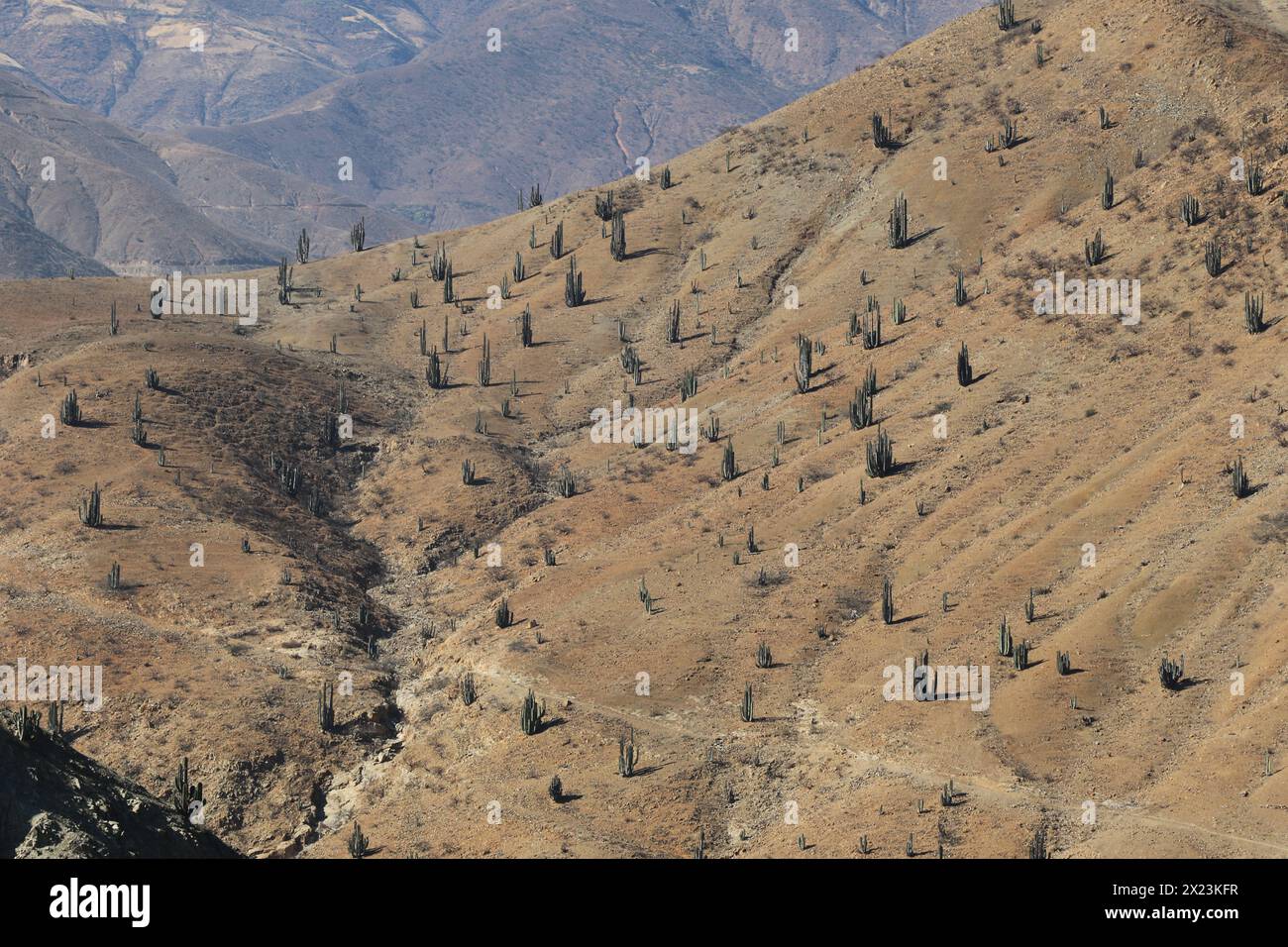 The arid mountains of Peru Stock Photo - Alamy