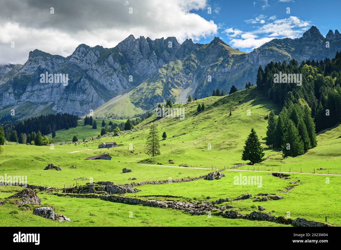 Alpine floor in front of the rock faces of the Säntis, Schwägalp ...