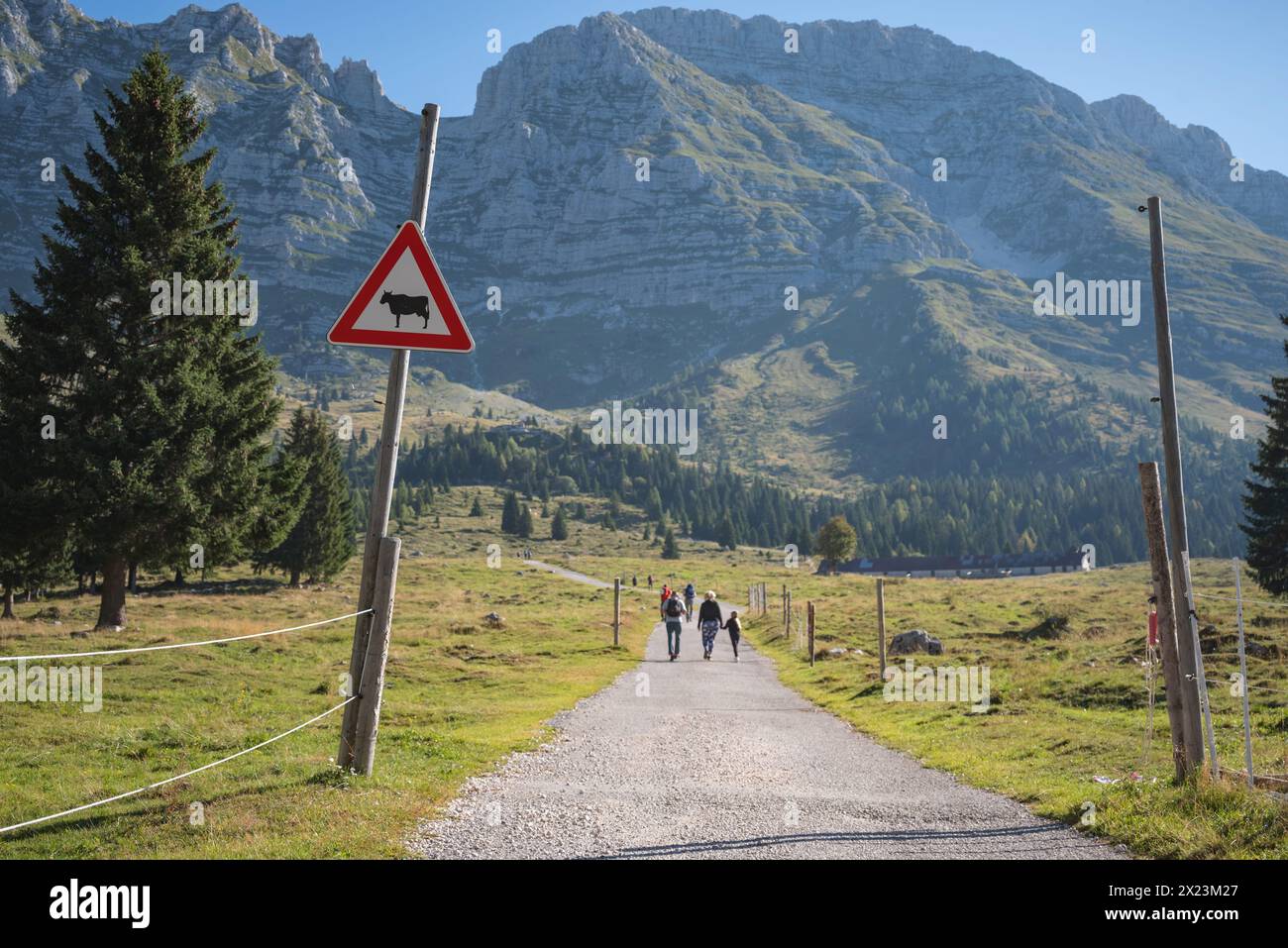 Warning cow sign and cattle hazard on a mountain pasture Stock Photo ...
