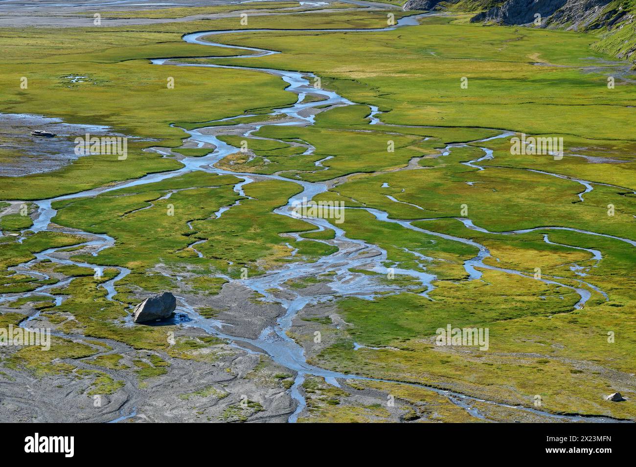 View of river meanders in the Lower Segnesboden, Plaun Segnas Sut ...
