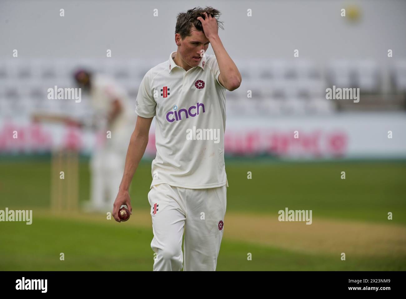 Raphael division hi-res stock photography and images - Alamy