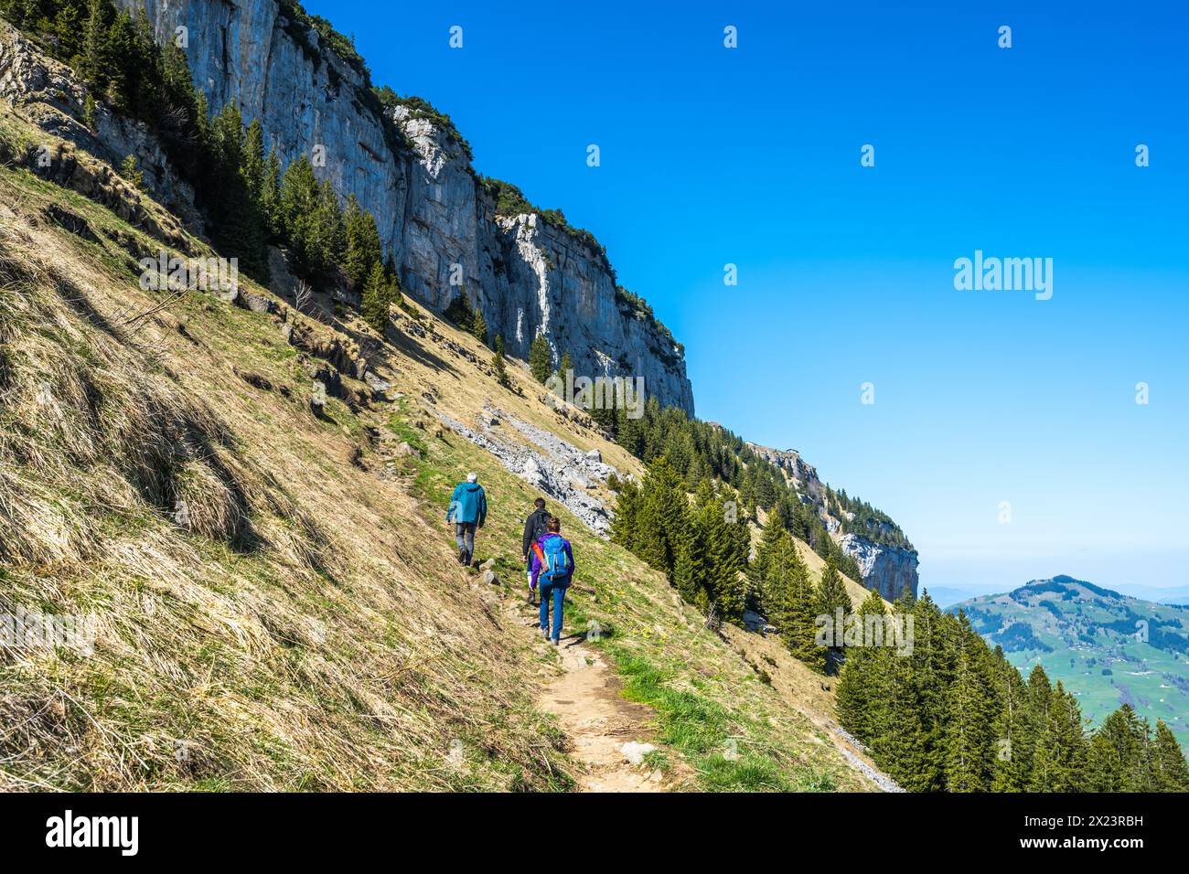 Tourists walk through meadow hi-res stock photography and images - Alamy