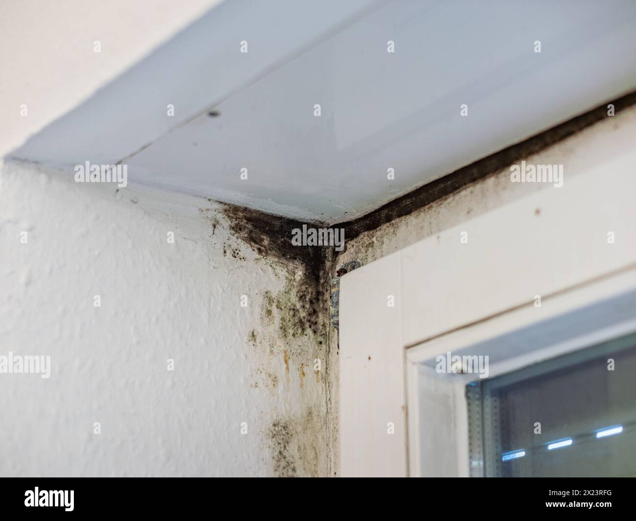 Black mold at the corner of a window frame due to a cold and wet wall ...