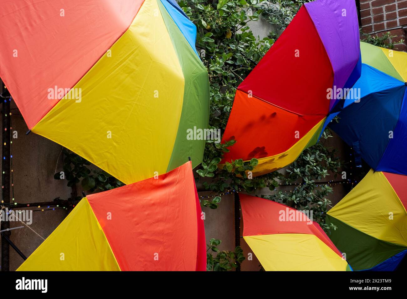 A beautiful cluster of rainbow umbrellas on display in an alleyway ...