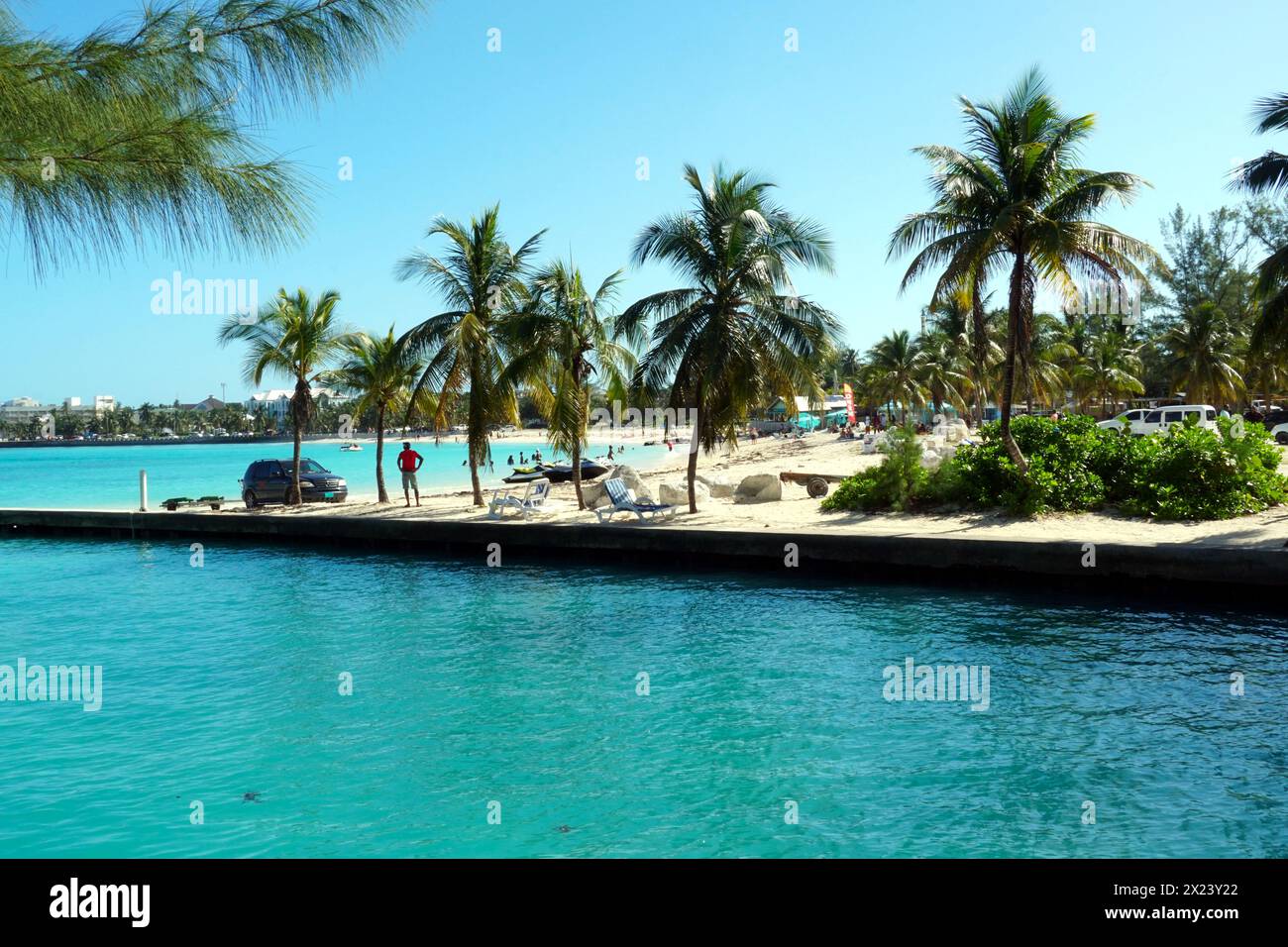 Palm trees on white sand beach in Nassau on a tropical Bahamian island ...