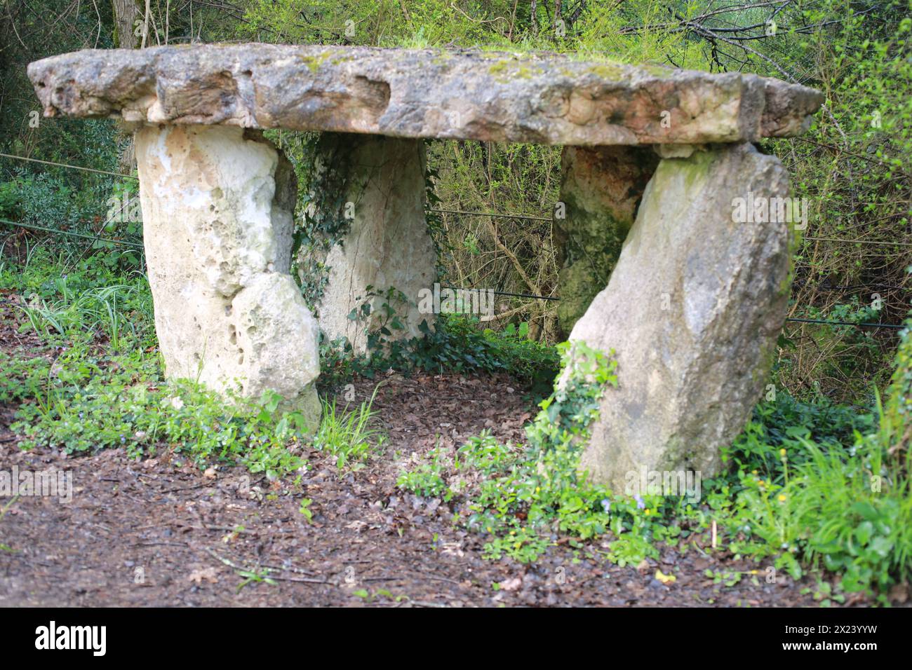 A Megalith Dolmen in the grounds of Chateau de la Roche Courbon, France ...