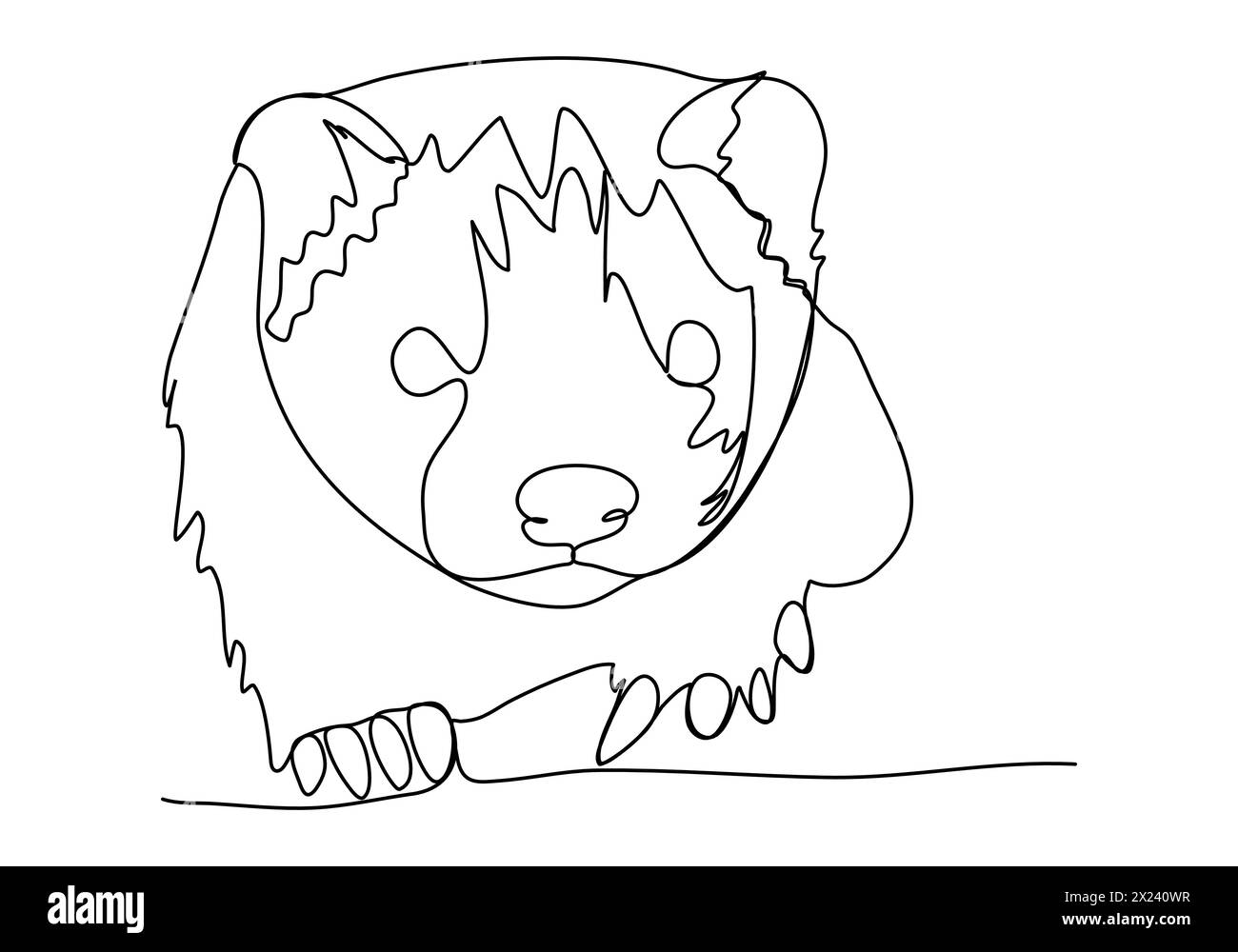 Ferret. One line drawing animation, video clip with alpha channel Stock ...