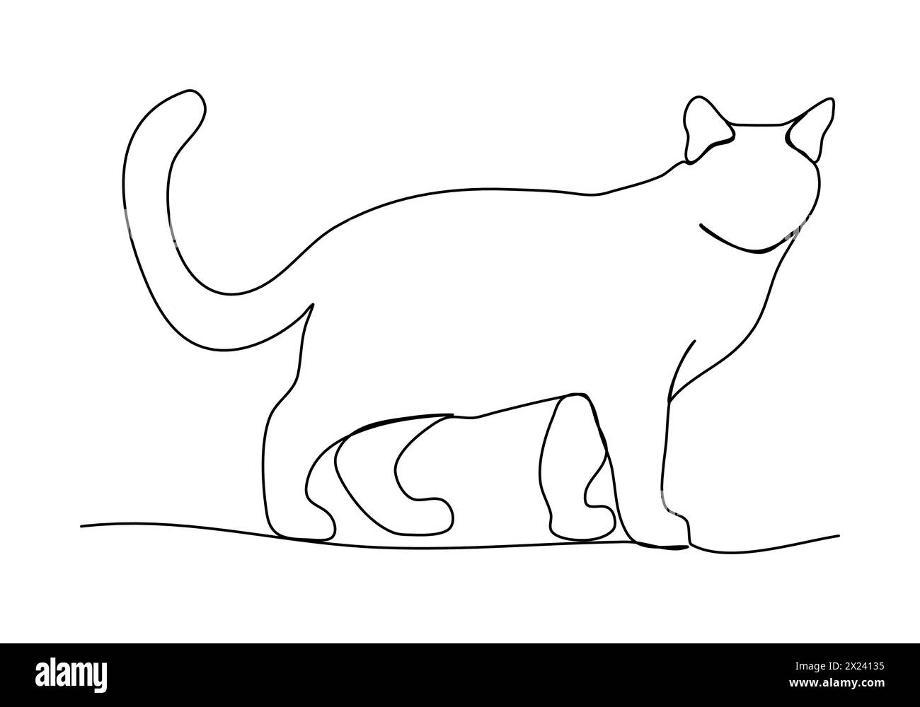 Cat. One line drawing animation, video clip with alpha channel Stock ...