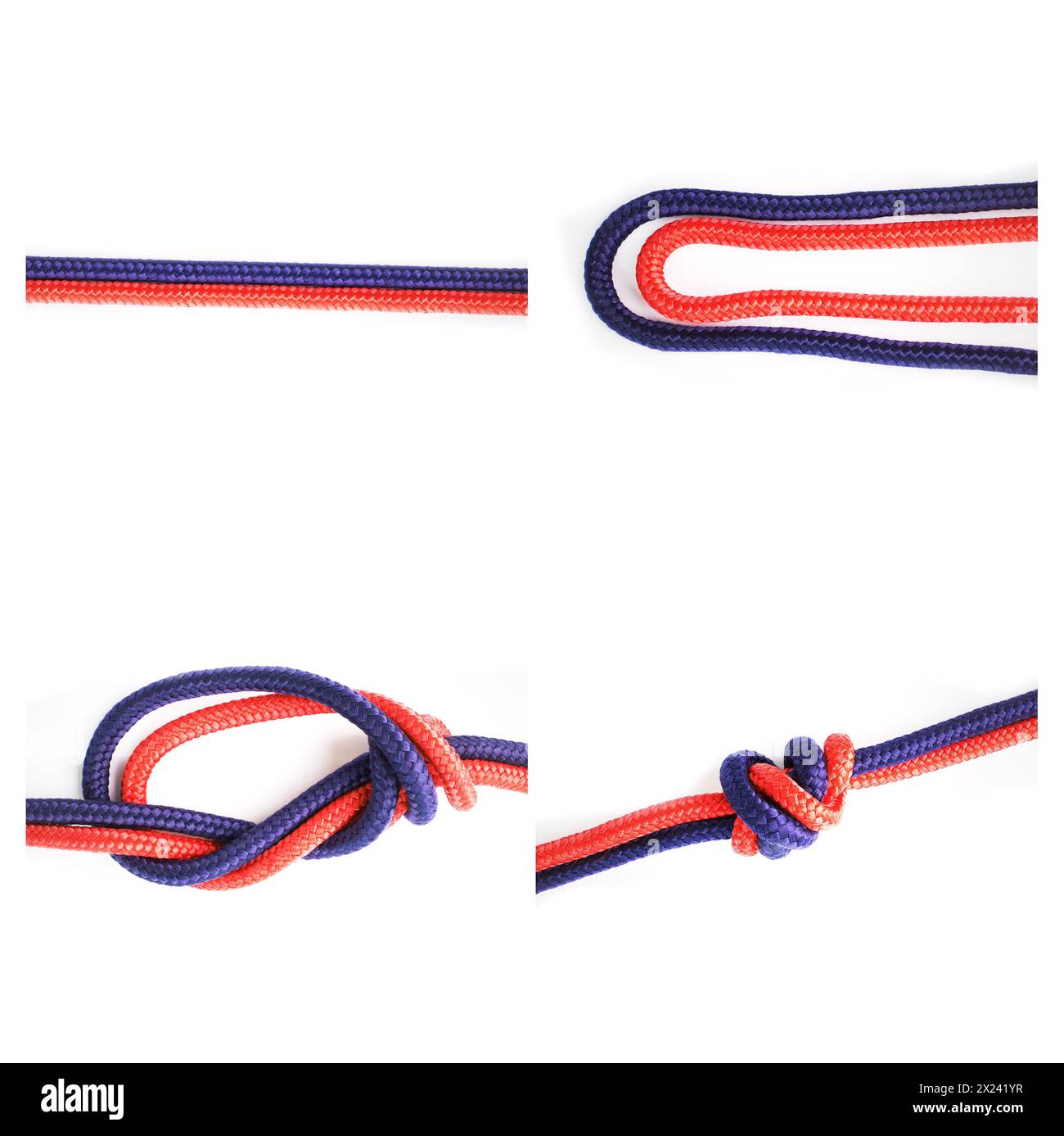 Sailor, knot and how to tie with rope in tutorial, guide or steps to ...