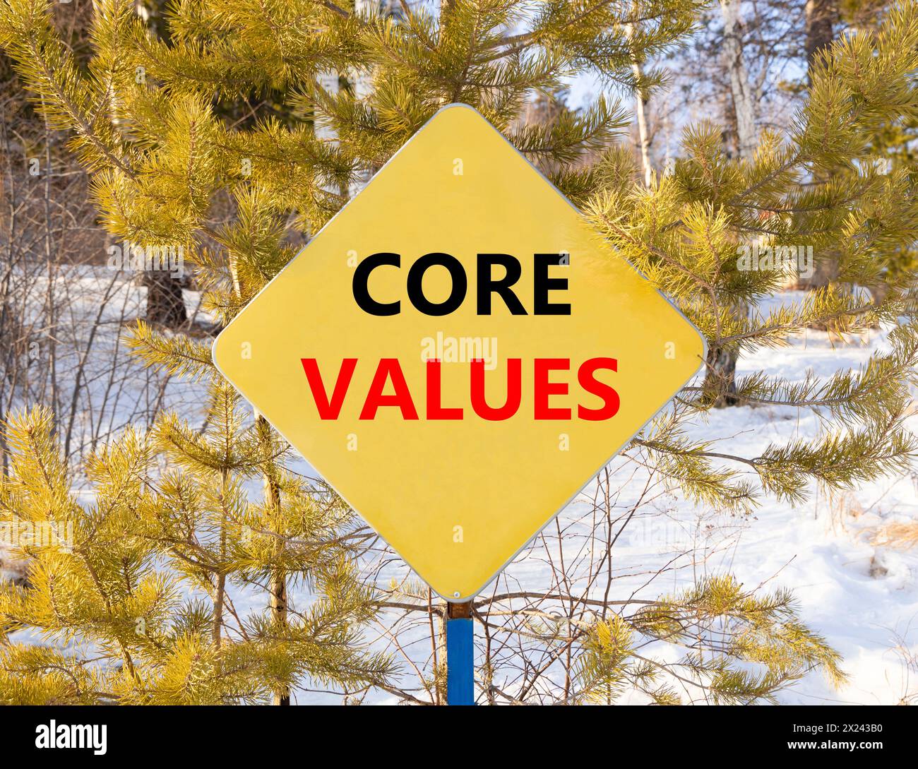 Core values symbol. Concept words Core values on beautiful yellow road sign. Beautiful forest ...