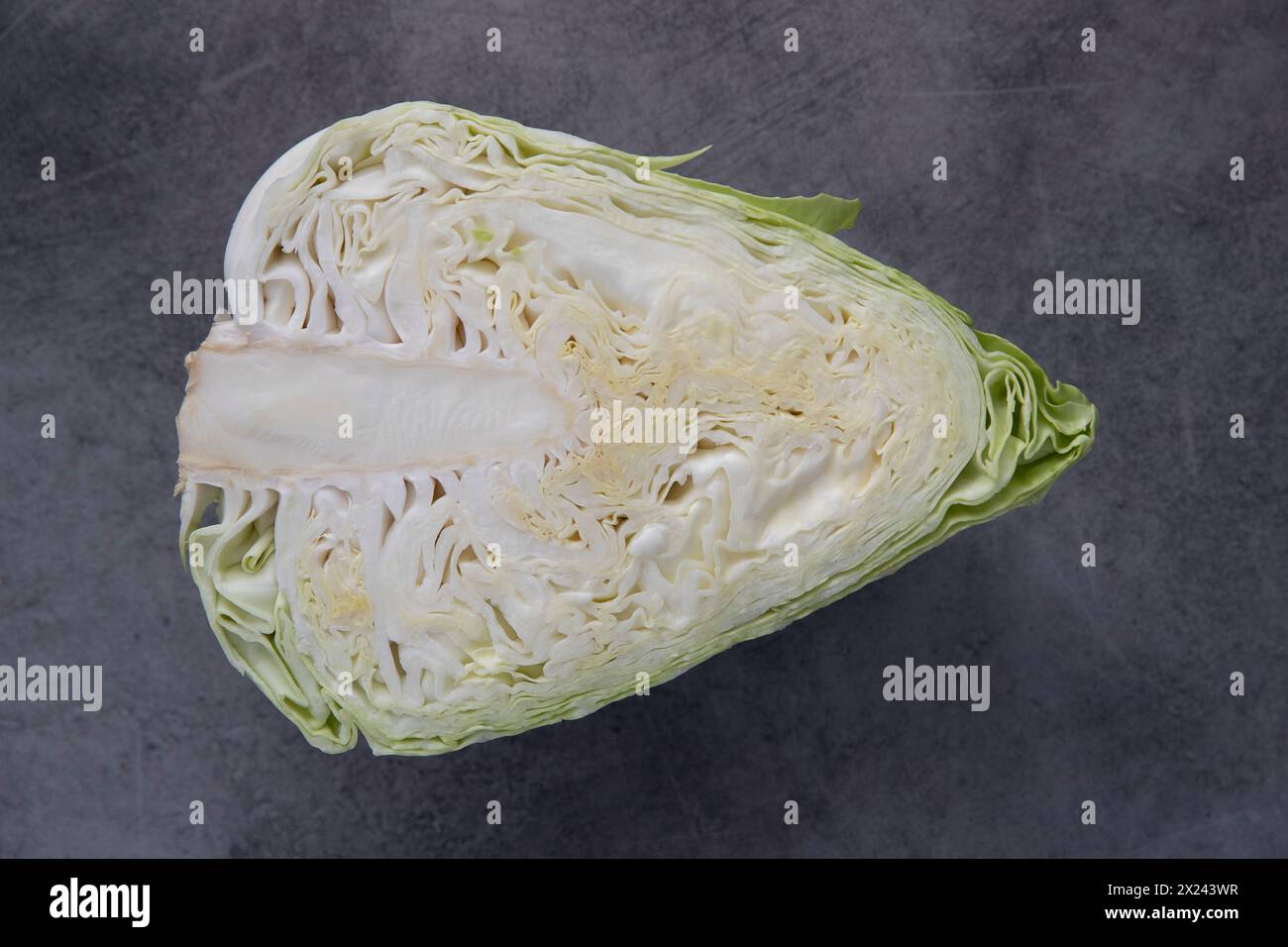 Green pointed cabbage cut in half Stock Photo - Alamy
