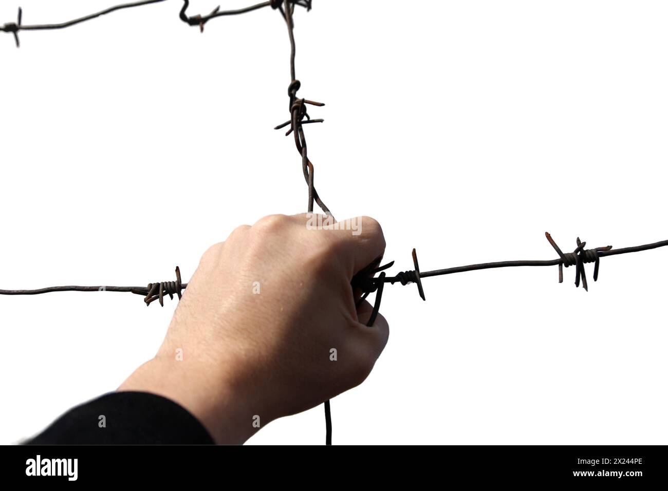 Hand holding rusty barbed wire isolated on white Stock Photo - Alamy