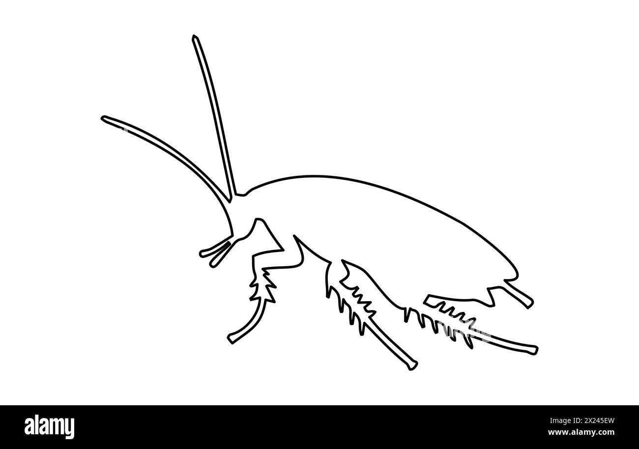 Black outline of cockroach isolated on white surface. Illustration ...