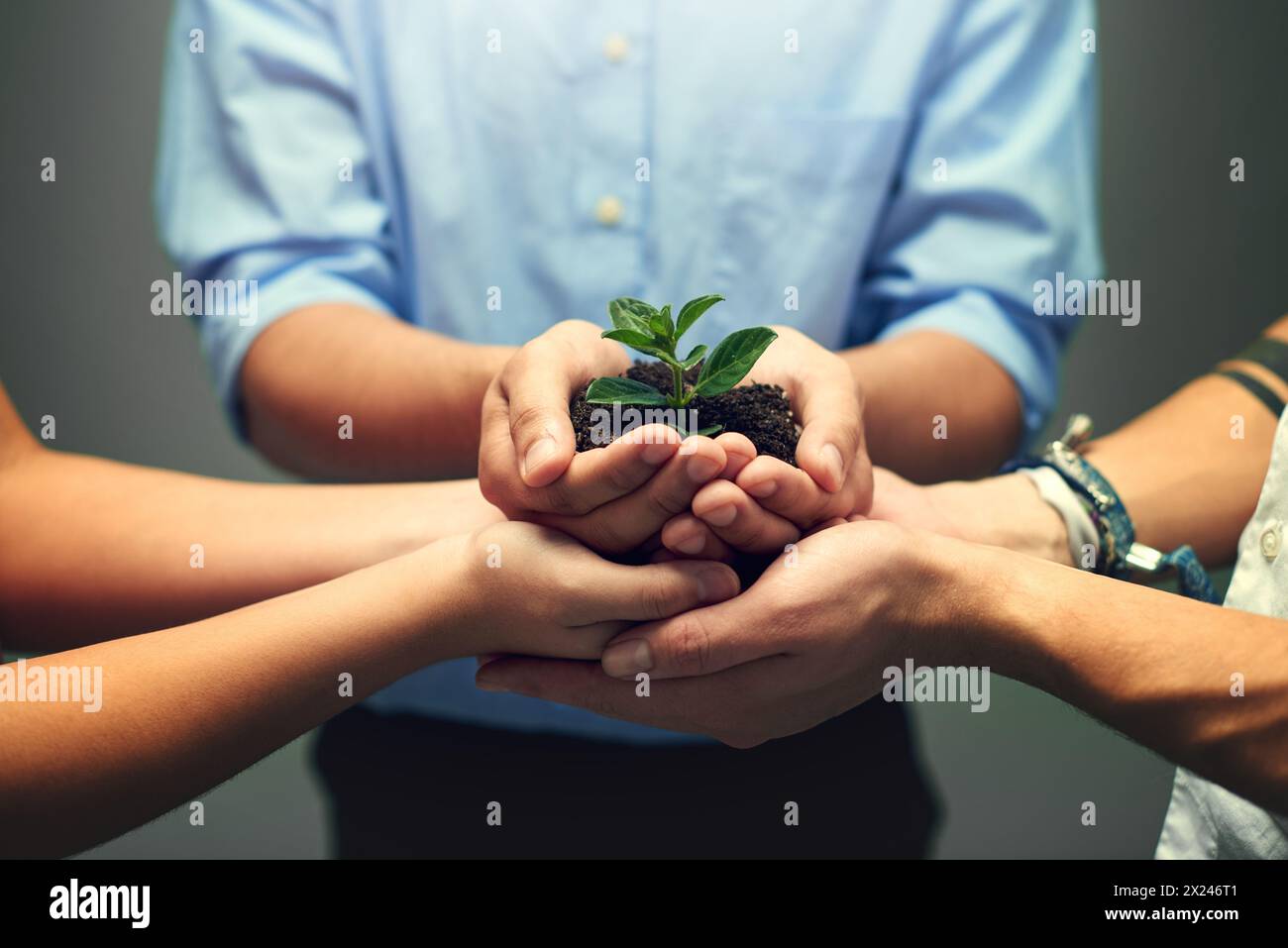 Group, hands and nature of plant, growth and team with support ...