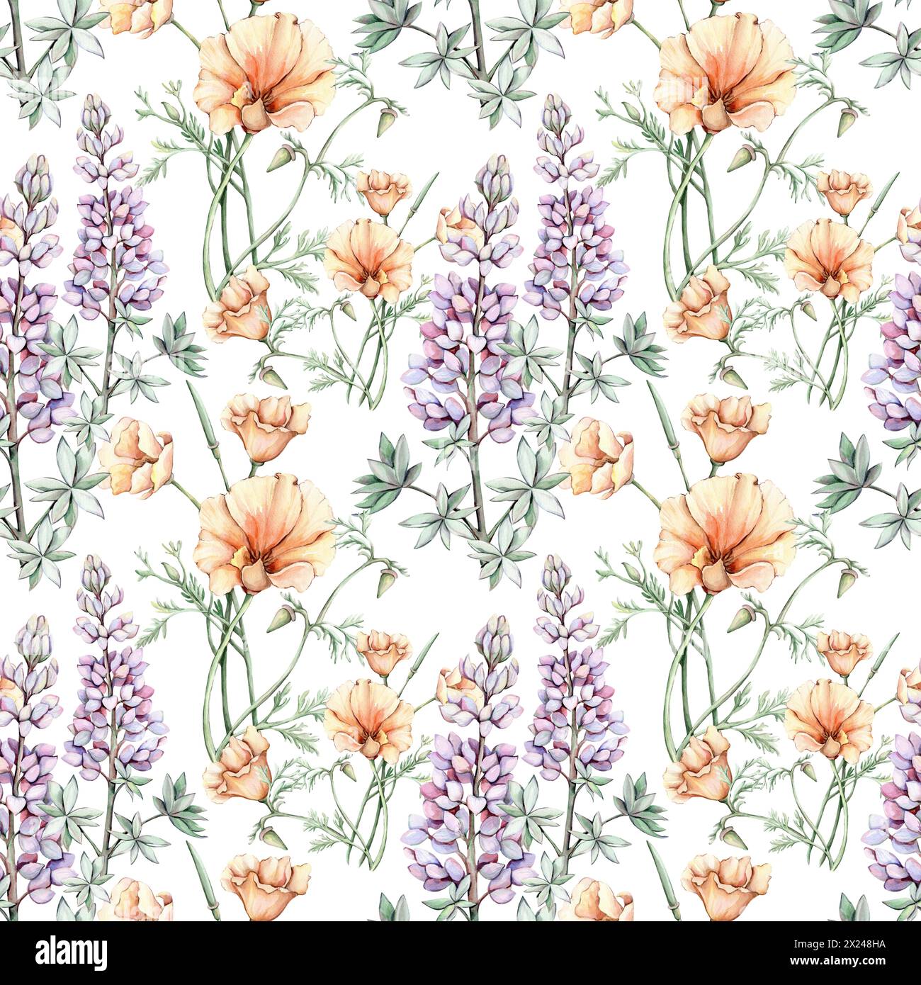 Purple floral seamless pattern hi-res stock photography and images - Alamy