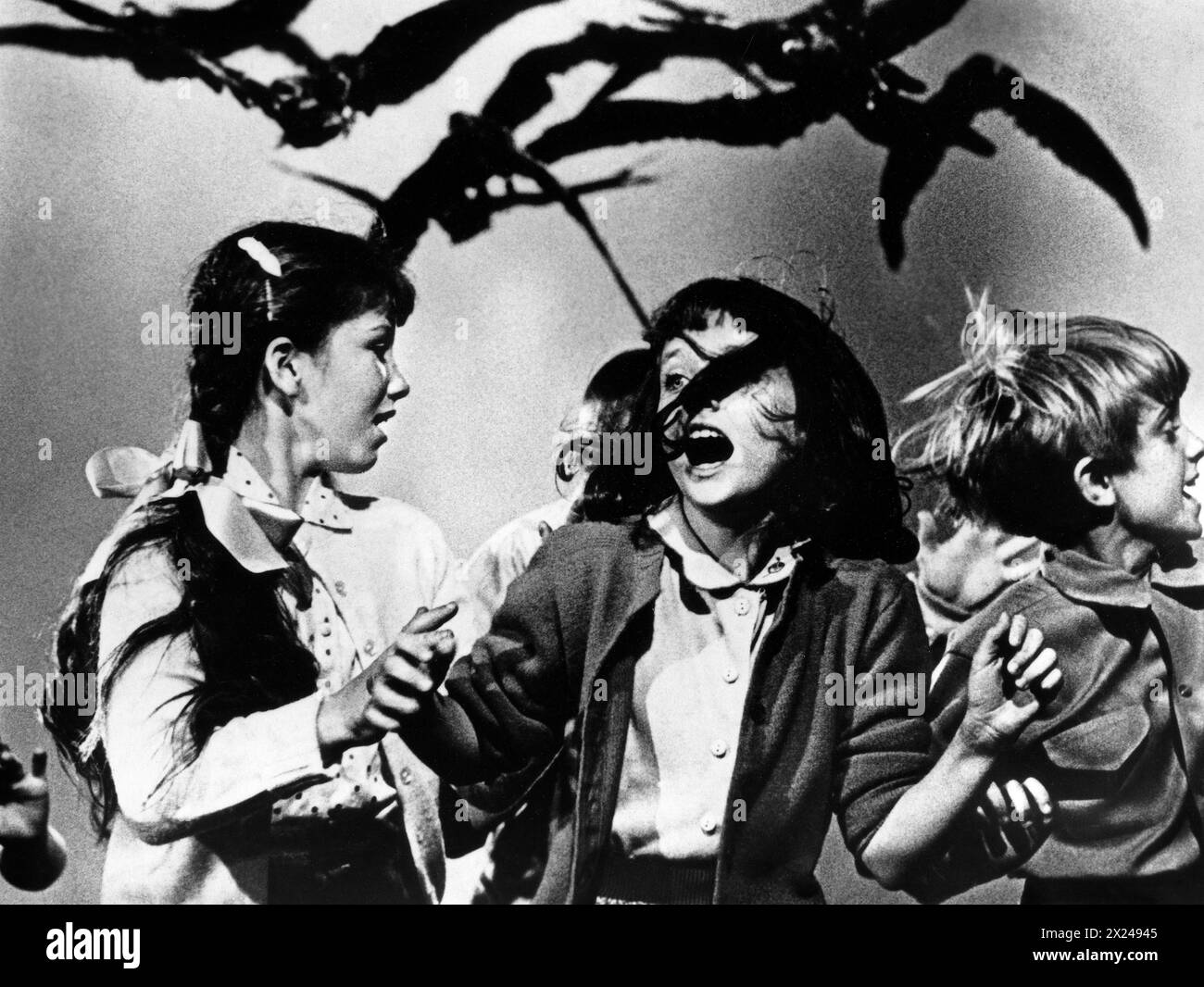 Morgan Brittany, on-set of the film, "The Birds", Universal Pictures ...