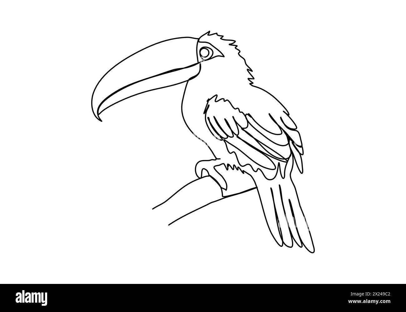 Toucan One Line Drawing Vector Illustration Stock Vector Image And Art
