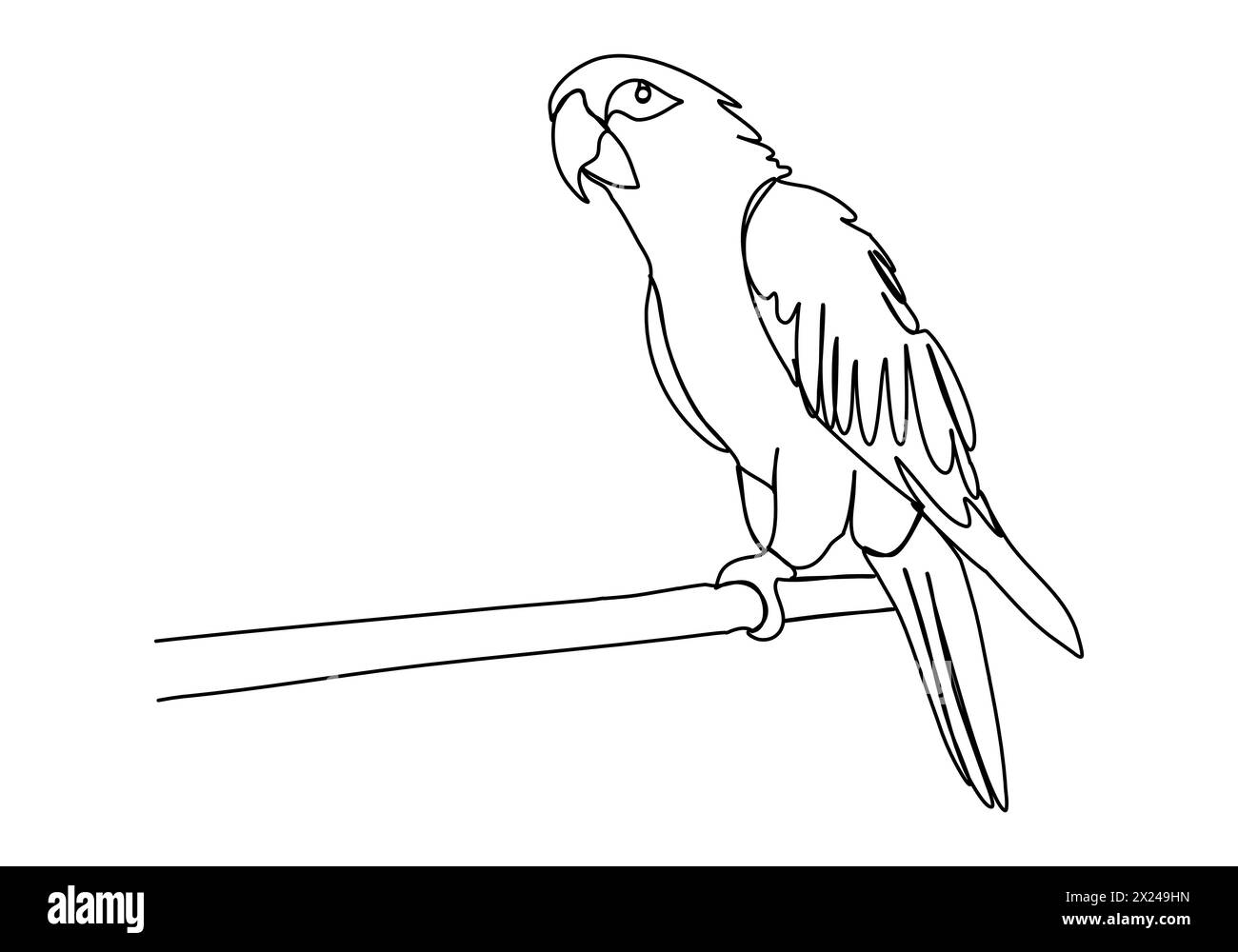Parrot, one line drawing vector illustration Stock Vector Image & Art ...