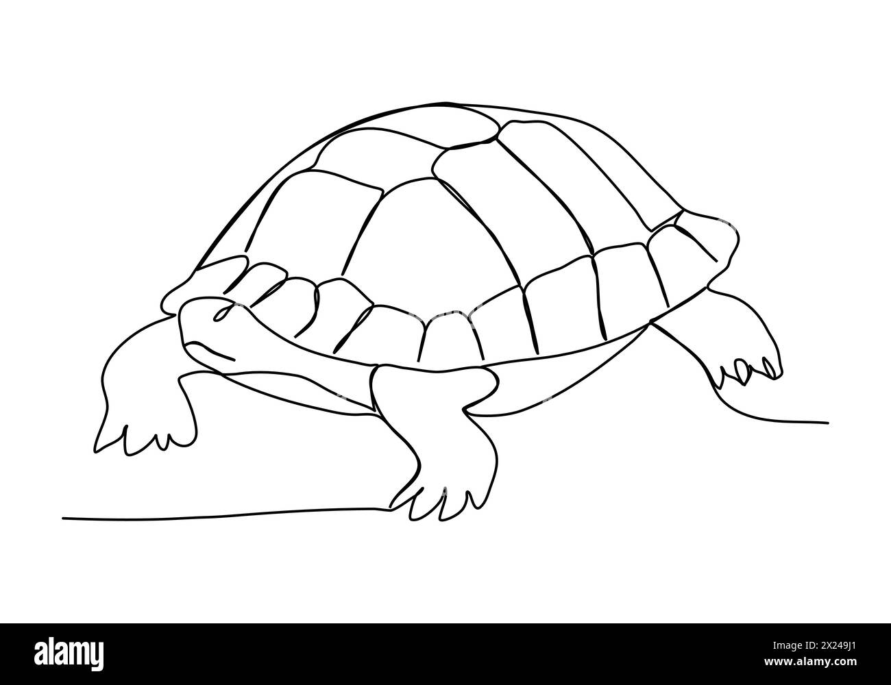 Turtle, one line drawing vector illustration Stock Vector Image & Art ...