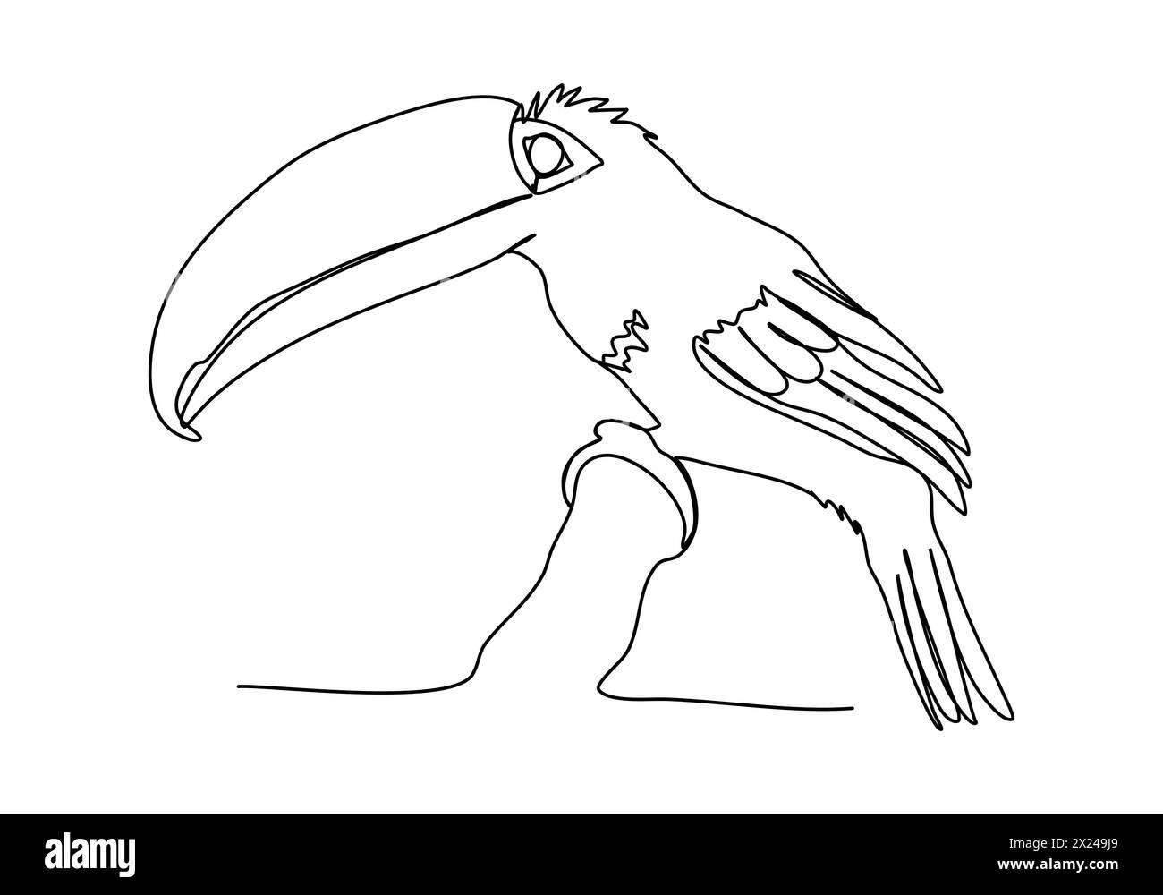 Toucan, one line drawing vector illustration Stock Vector Image & Art ...