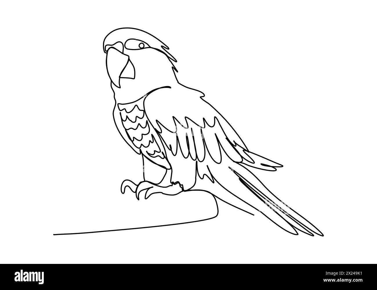 Parrot, one line drawing vector illustration Stock Vector Image & Art ...