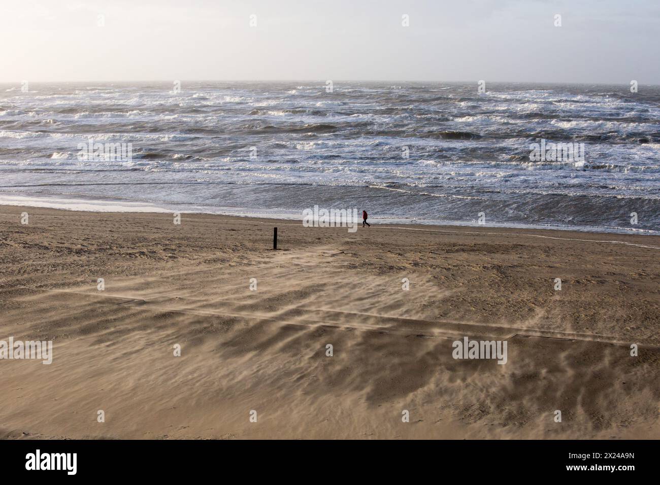 Violent storm waves strip beaches of sand above the waterline during a ...