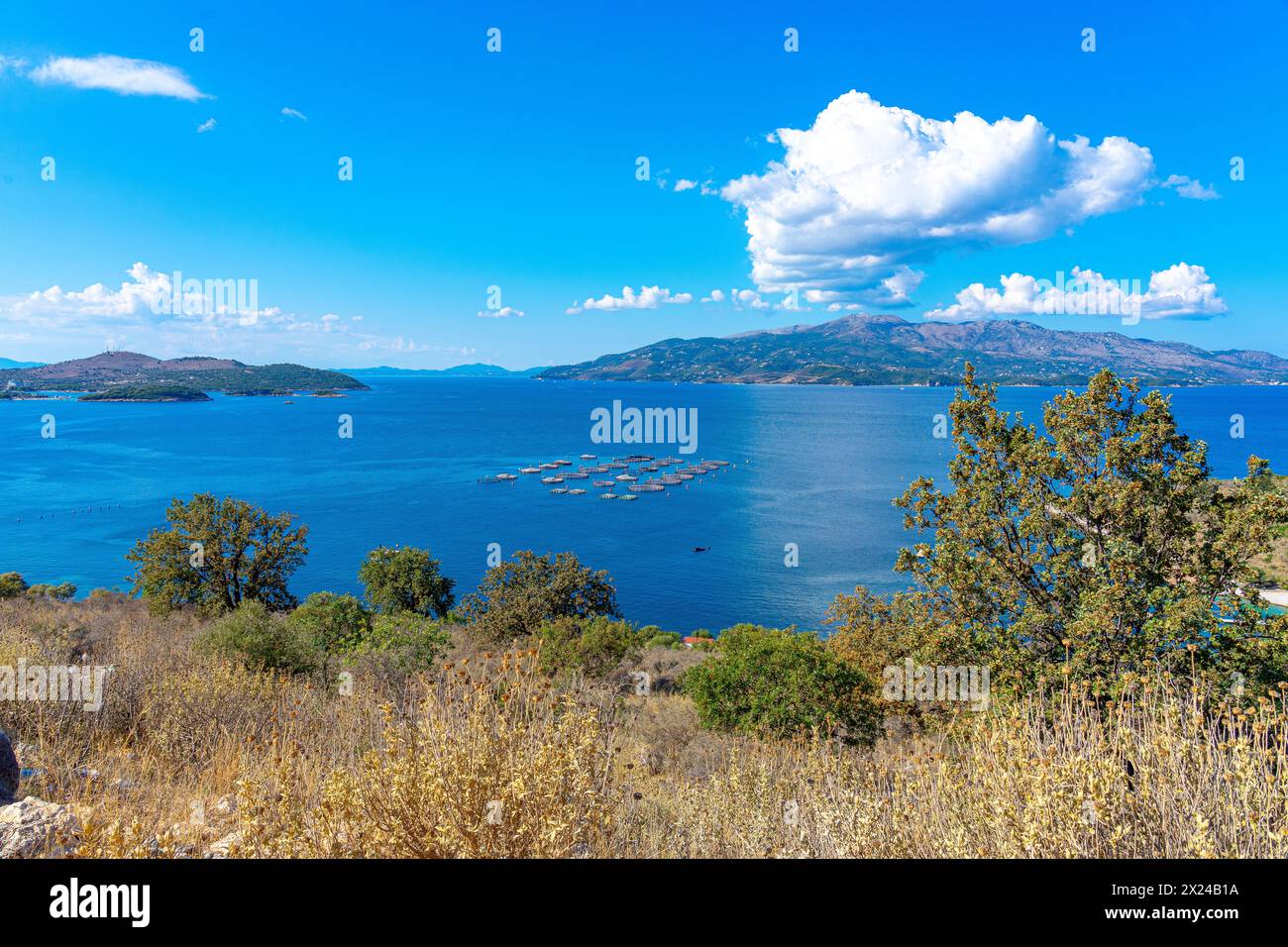 Production of mussels for human consumption in the town of Ksamil ...