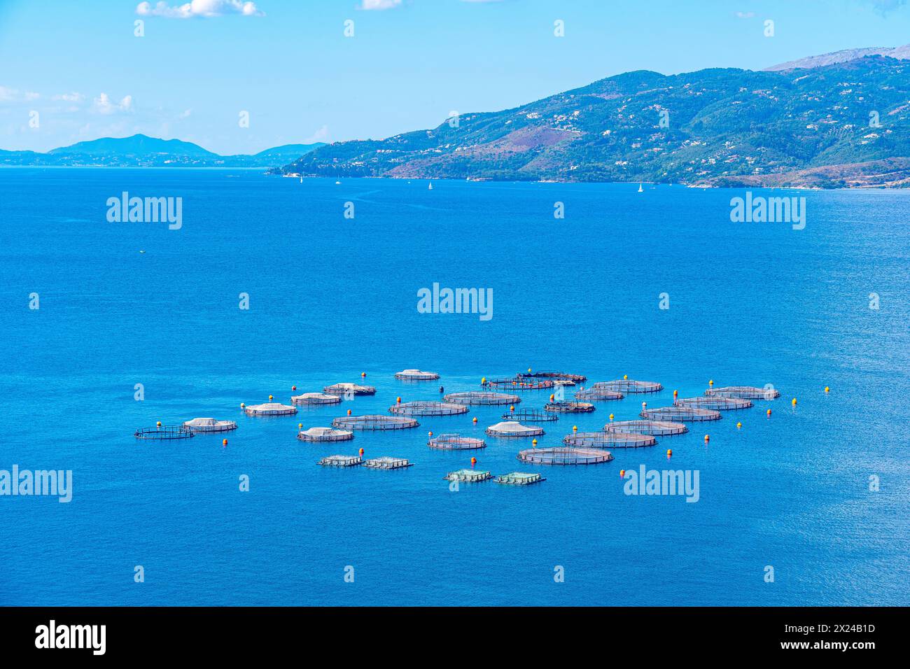 Production of mussels for human consumption in the town of Ksamil ...