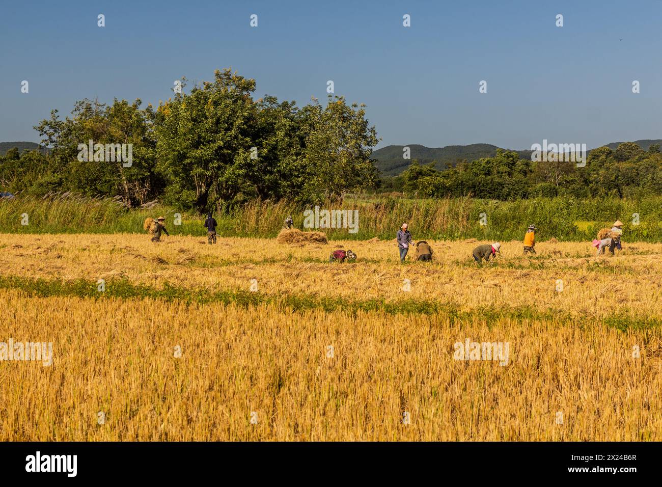Muang sing laos november hi-res stock photography and images - Alamy