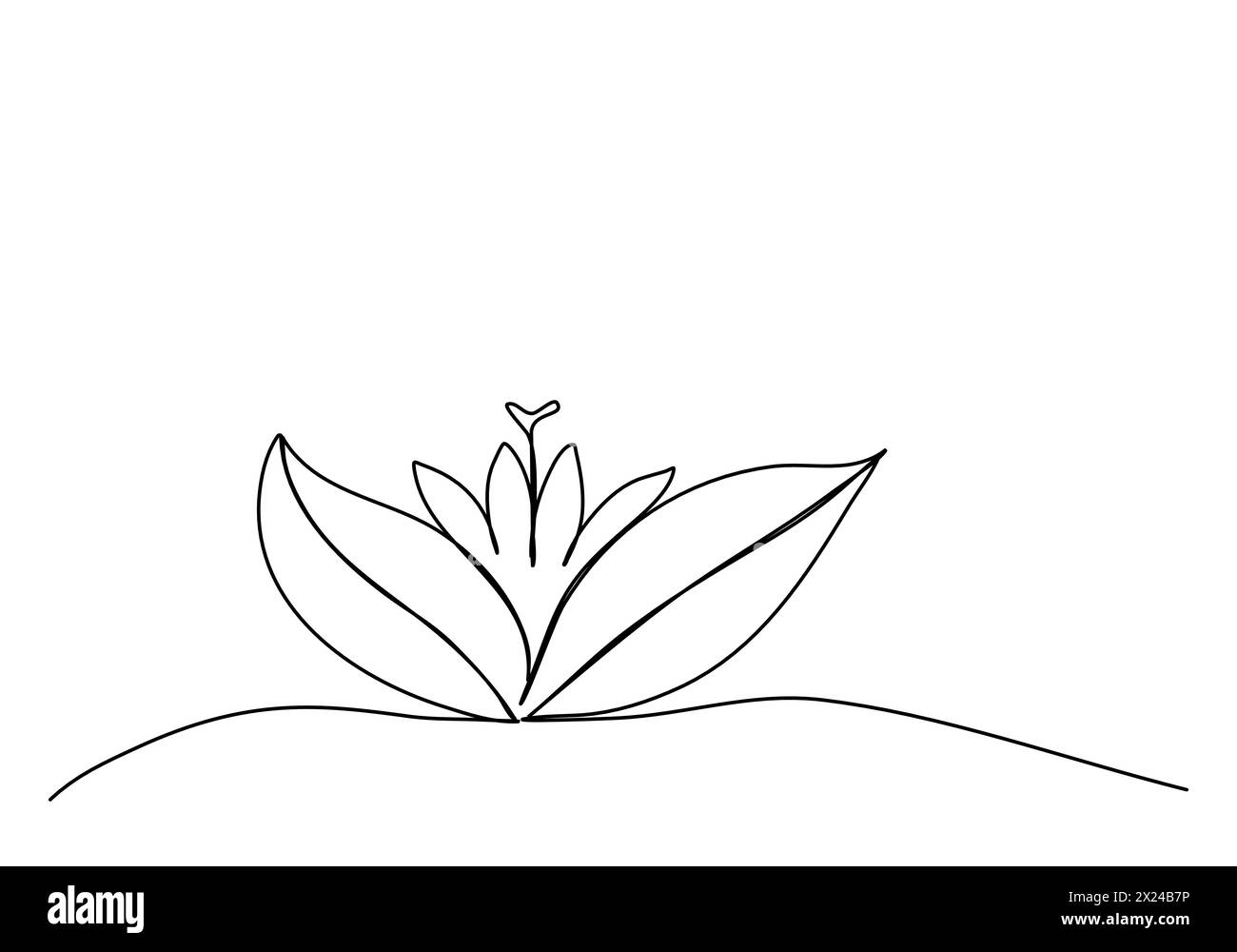 Flower, one line drawing vector illustration Stock Vector Image & Art ...