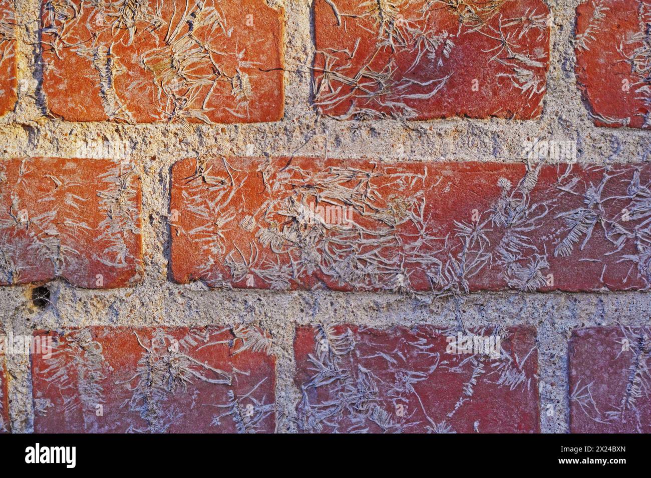 Red, brick wall and wallpaper with cement or concrete for strength to ...