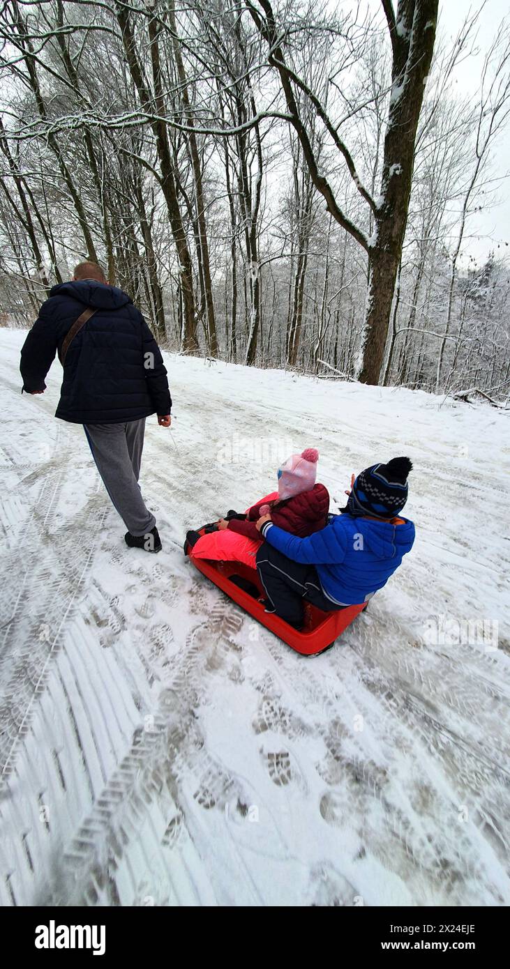 Little girls and boys sledding in mountains. Children play outdoors on ...