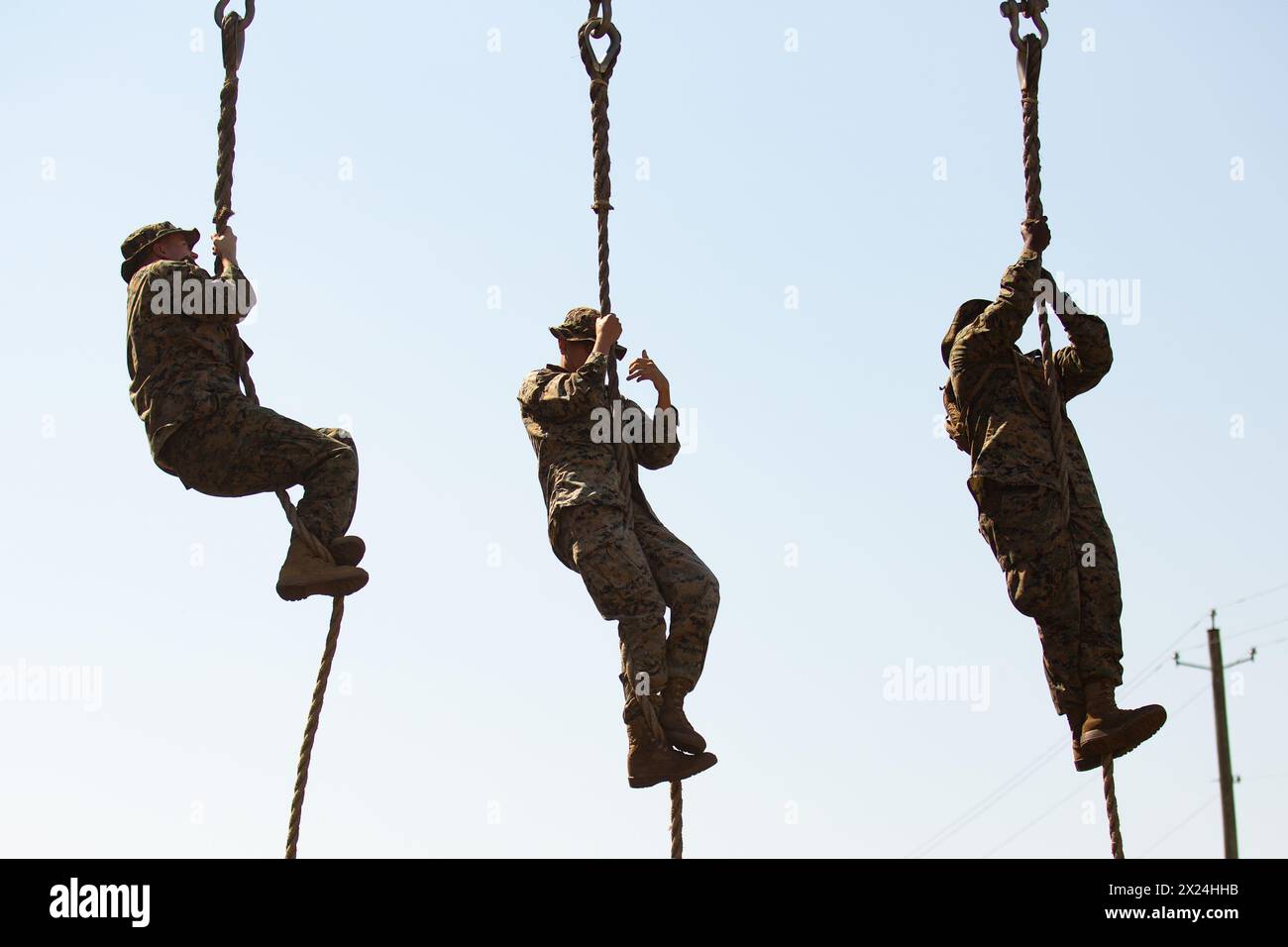 533 air wing hi-res stock photography and images - Alamy