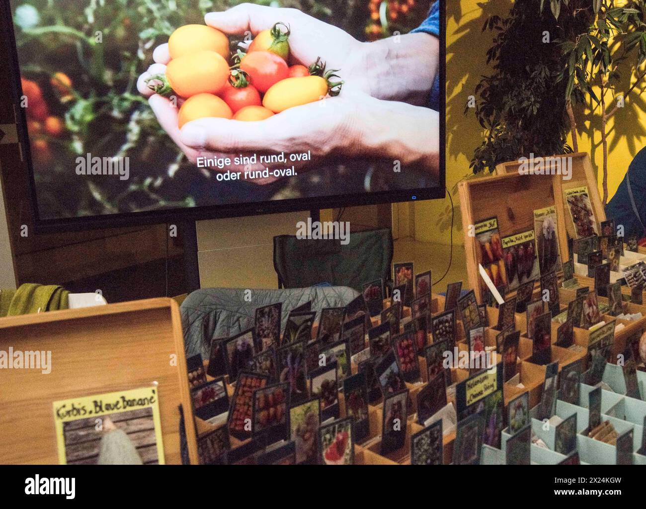 Seeds are embryonic plants protected by outer covering Seeds protected ...