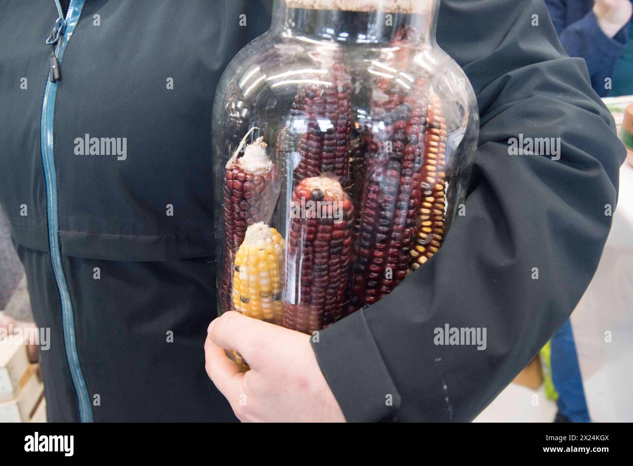 Seeds are embryonic plants protected by outer covering Seeds protected ...