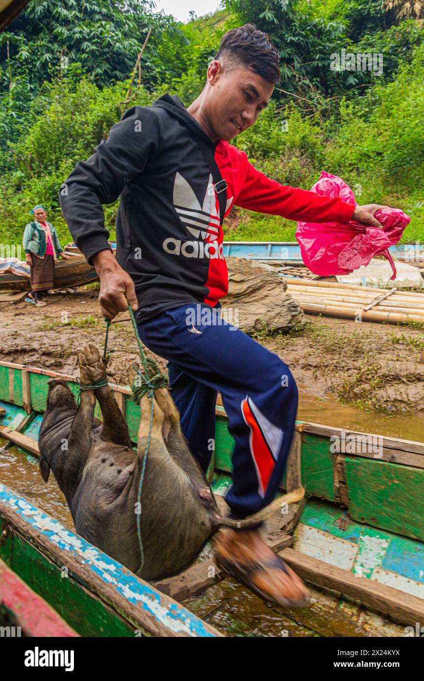 NAM OU, LAOS - NOVEMBER 23, 2019: Boy with a small pig is boarding a ...