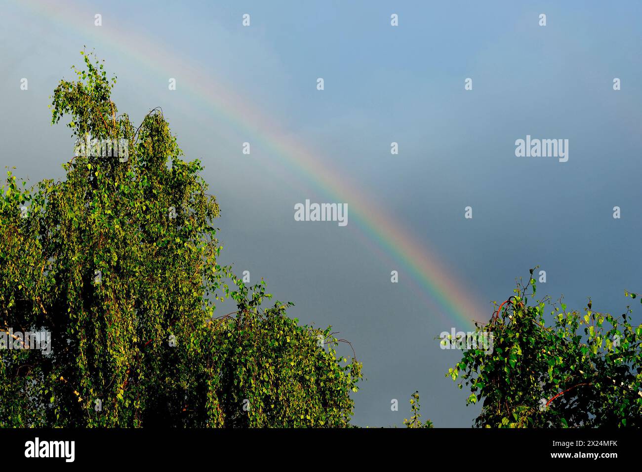 air, atmosphere, beauty, climate, clouds, cumulus, rainbow, nature ...