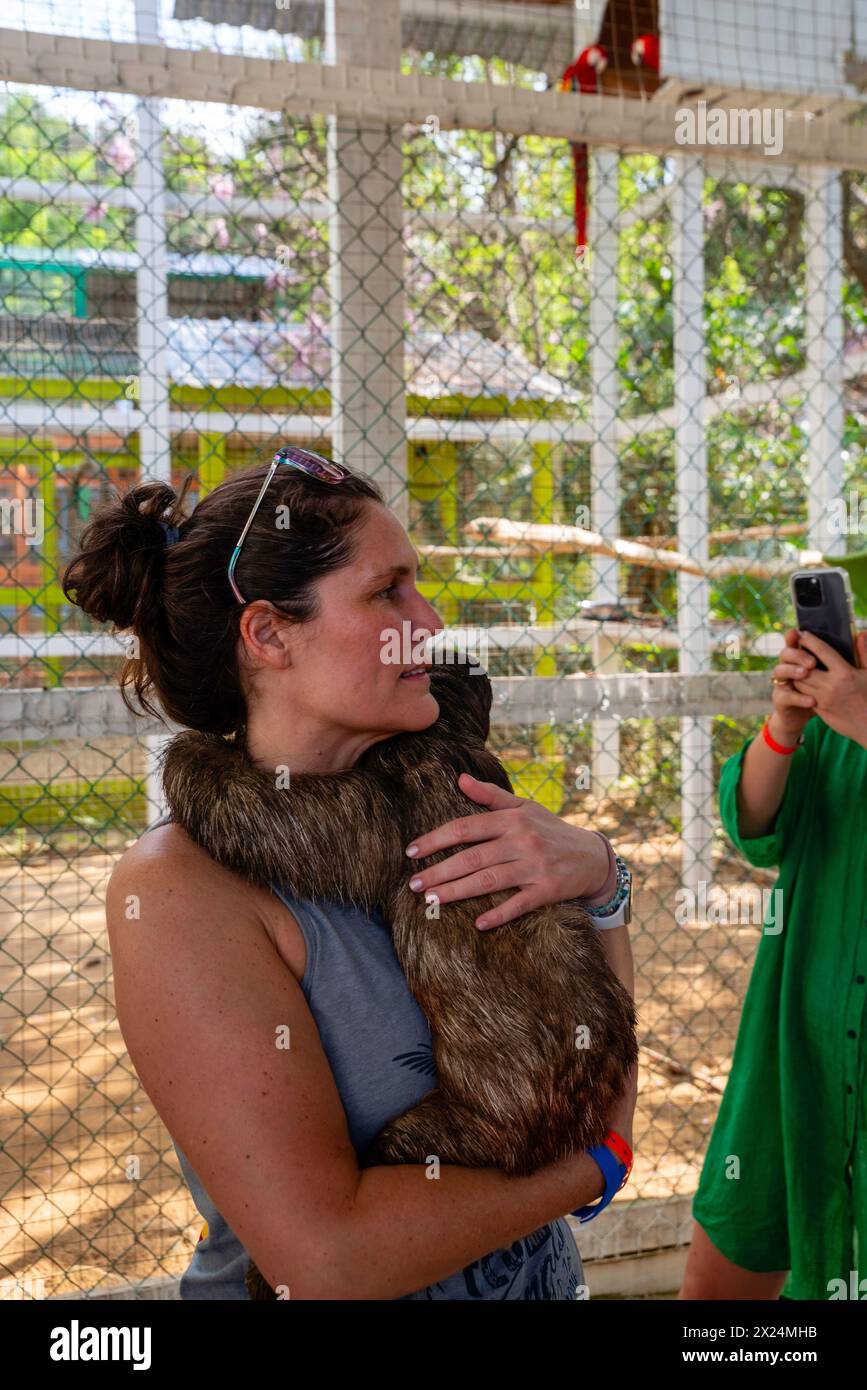 An adult woman holds a three-toed sloth (Bradypus variegatus) at Jungle ...