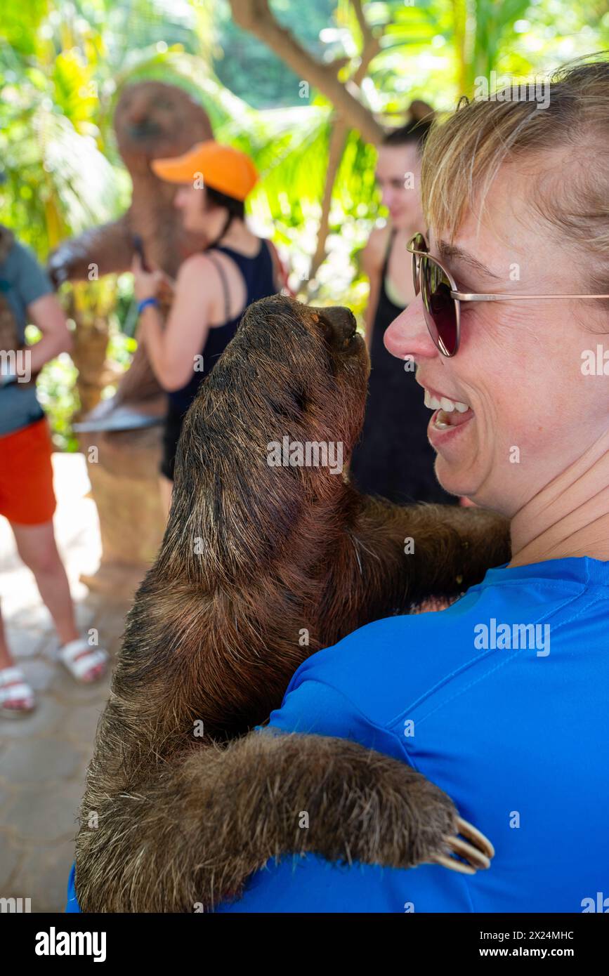 An adult woman holds a three-toed sloth (Bradypus variegatus) at Jungle ...